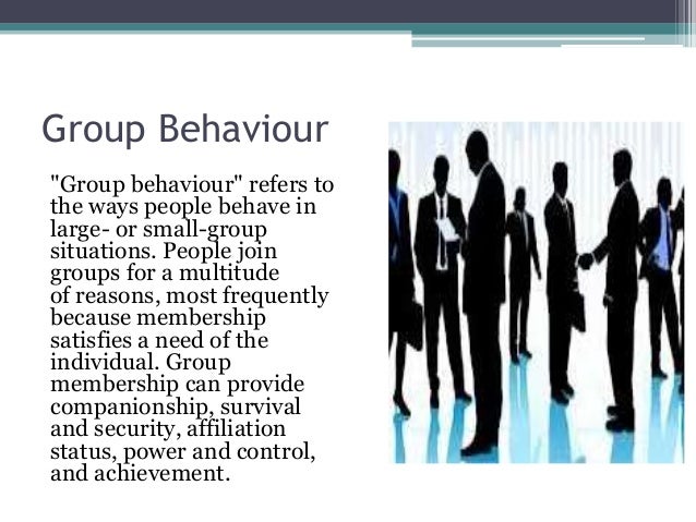 Group Behaviour N Dynamics group-behaviour-n-dynamics