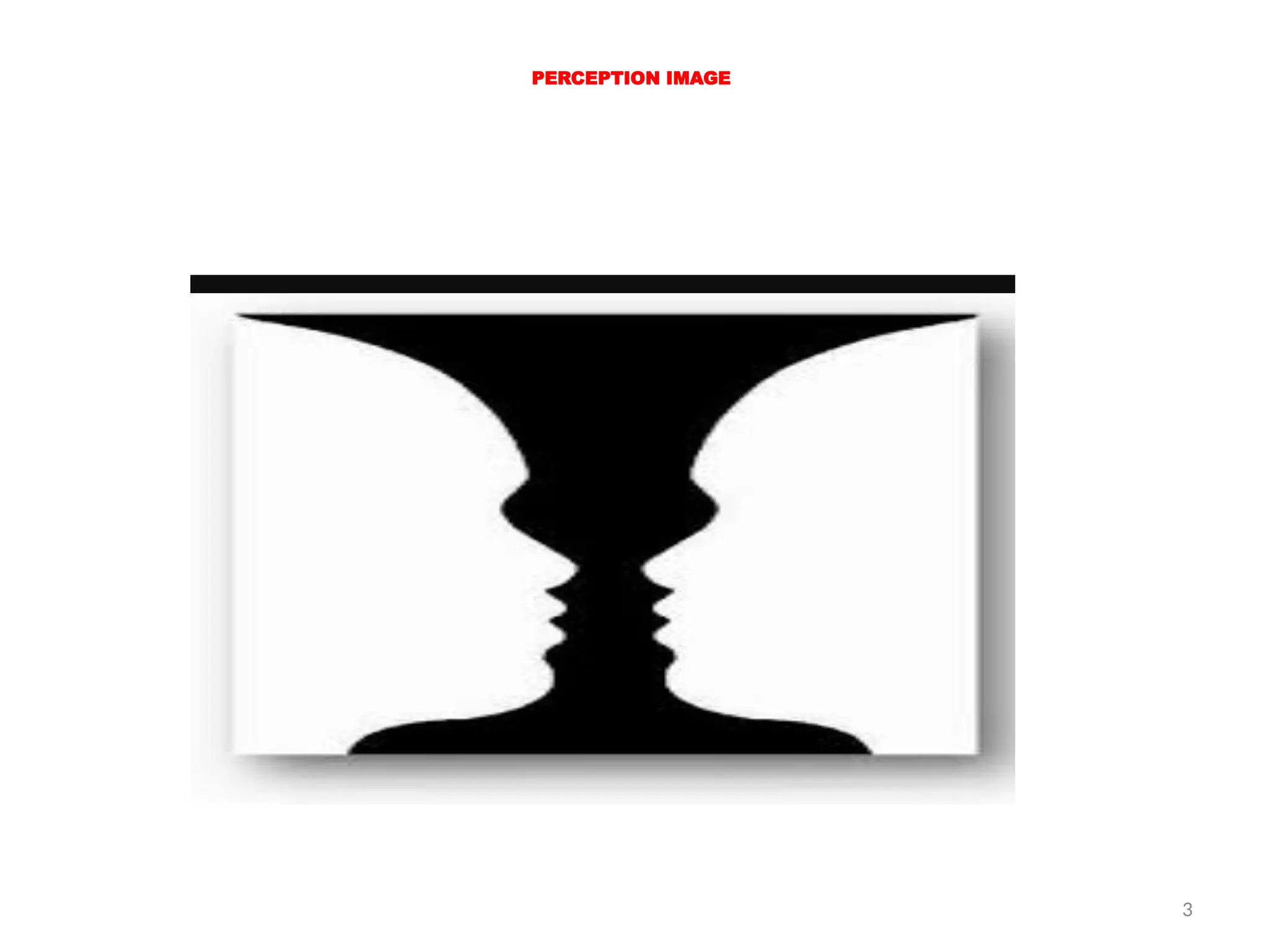 Organizational Behaviour -CHAPTER-2-II. PERCEPTIONS.pptx