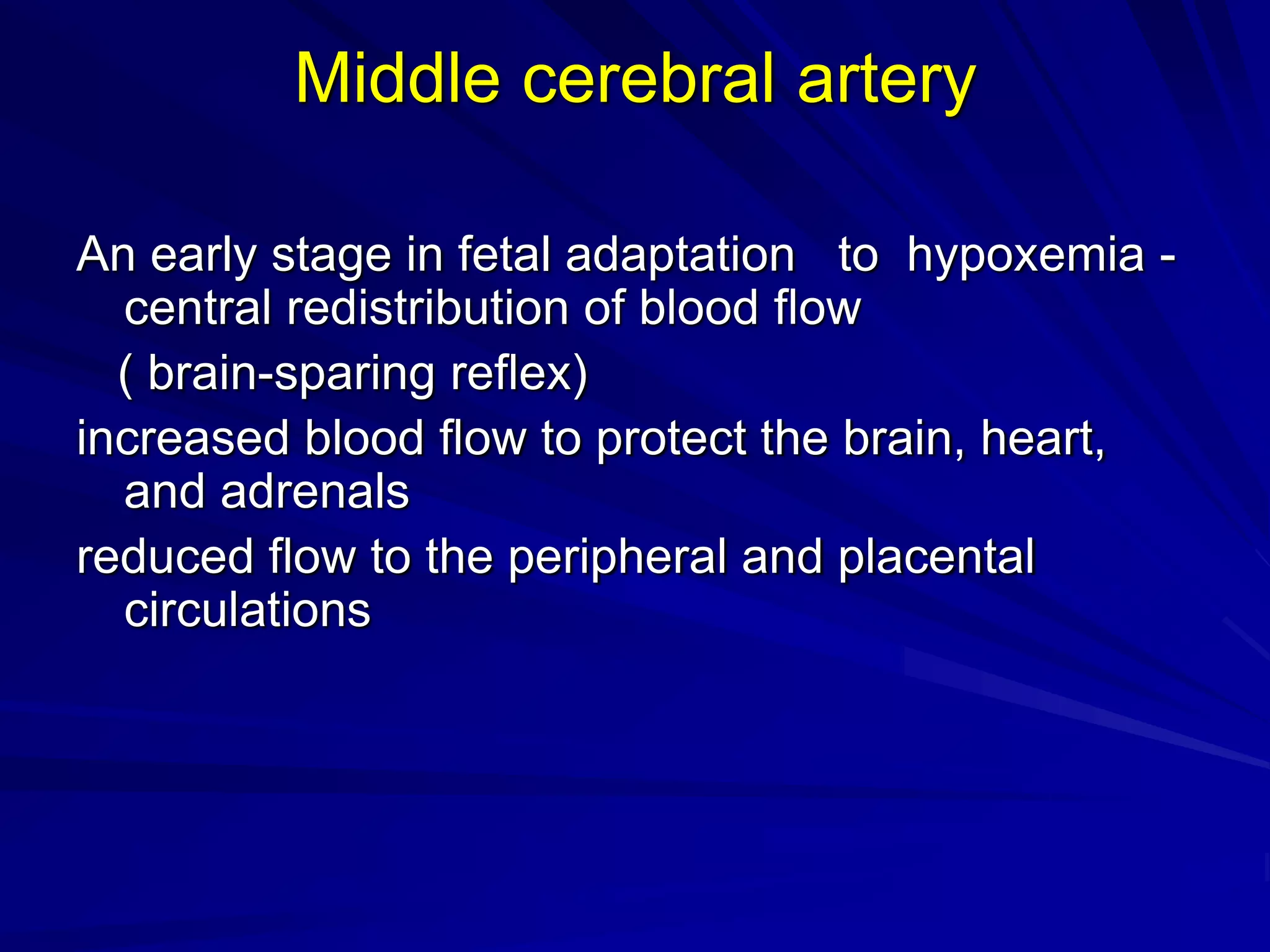 Obstetrics doppler ultrasound | PPT