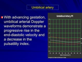 Obstetrics doppler ultrasound | PPT