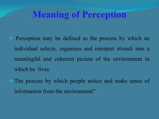 Ob factor affecting perception ppt | PPTX