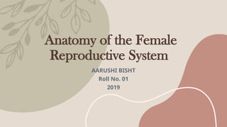OB-GYN Seminar on the anatomy of female genital tract | PPTX
