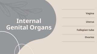 OB-GYN Seminar on the anatomy of female genital tract | PPTX