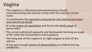 OB-GYN Seminar on the anatomy of female genital tract | PPT