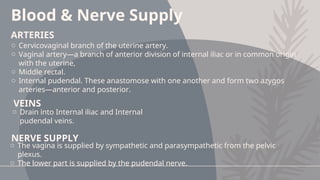 OB-GYN Seminar on the anatomy of female genital tract | PPTX
