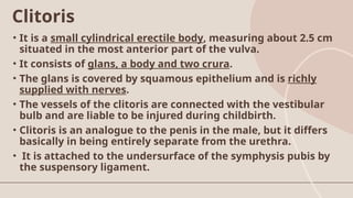 OB-GYN Seminar on the anatomy of female genital tract | PPT