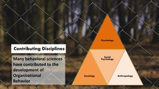 organizational behavior | PDF
