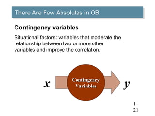 What Is Organizational Behavior | PPT
