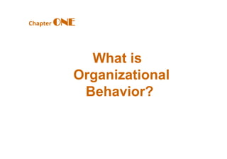Organizational Behavior Chapter 1 Introduction.ppt