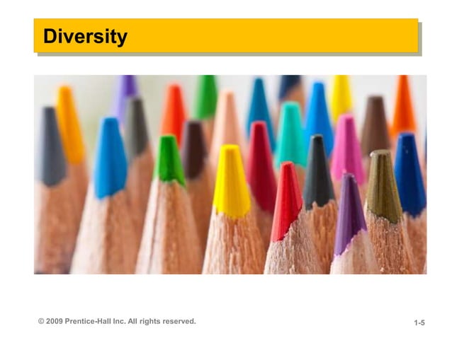 Ob 14e 2 diversity | PPT