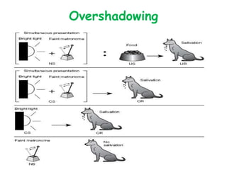 classical conditioning | PPT
