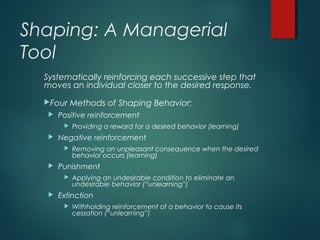 Organizational Behaviour | PPT