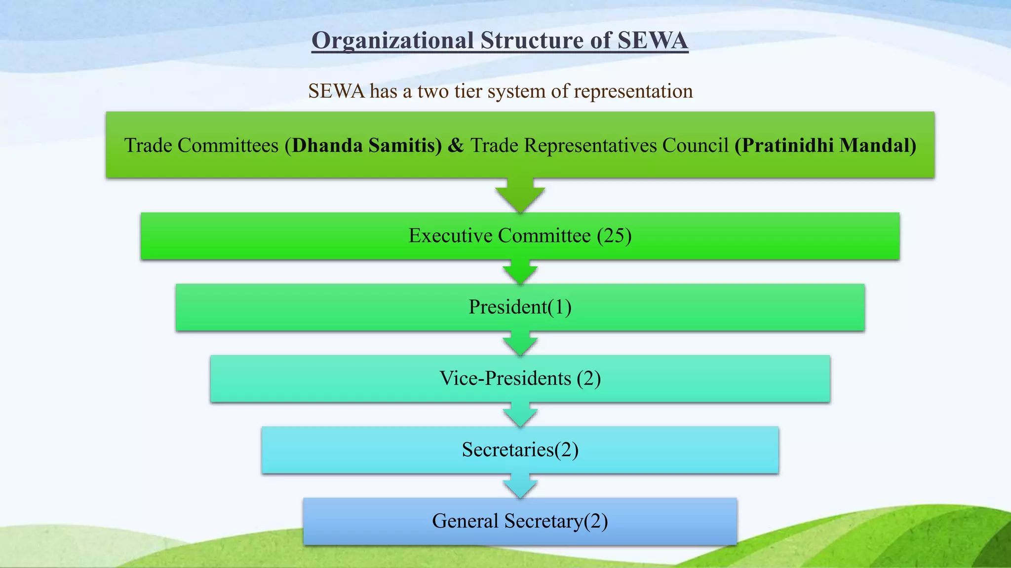 Self Employed women association | PPTX