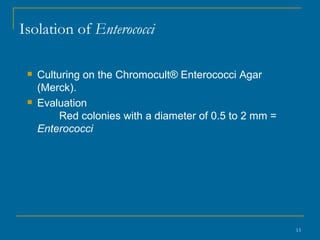 Enterococcus | PPT