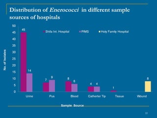 Enterococcus | PPT