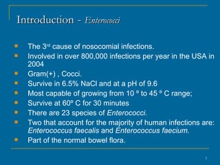 Enterococcus | PPT