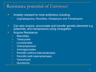 Enterococcus | PPT