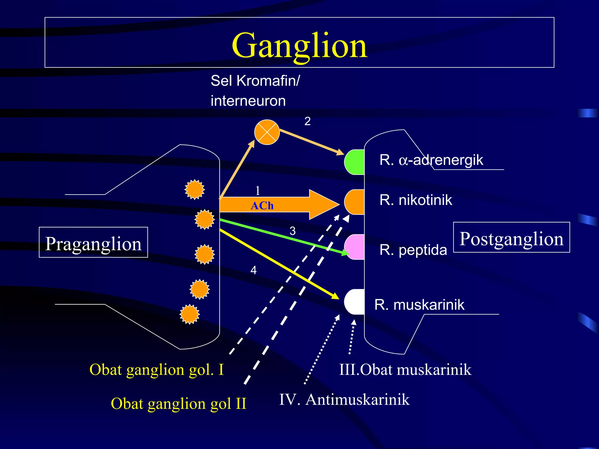 Obat Ganglion Dan Pelumpuh Otot | PPT