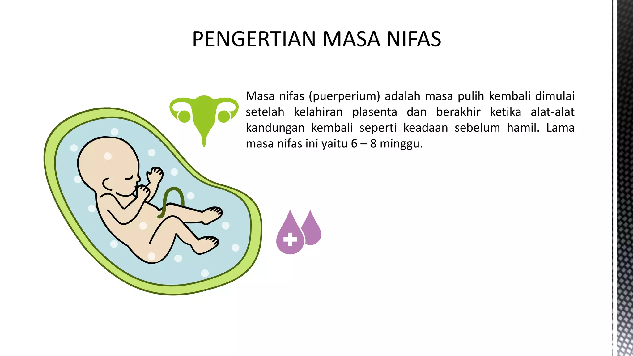 obat-obatan masa nifas.pptx
