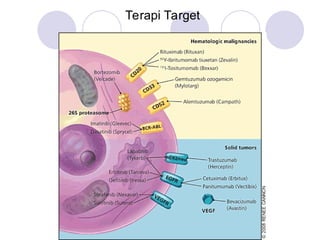 Obat antikanker : siklus sel kanker, terapi | PPT