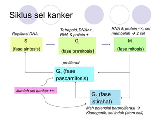 Obat antikanker : siklus sel kanker, terapi | PPT
