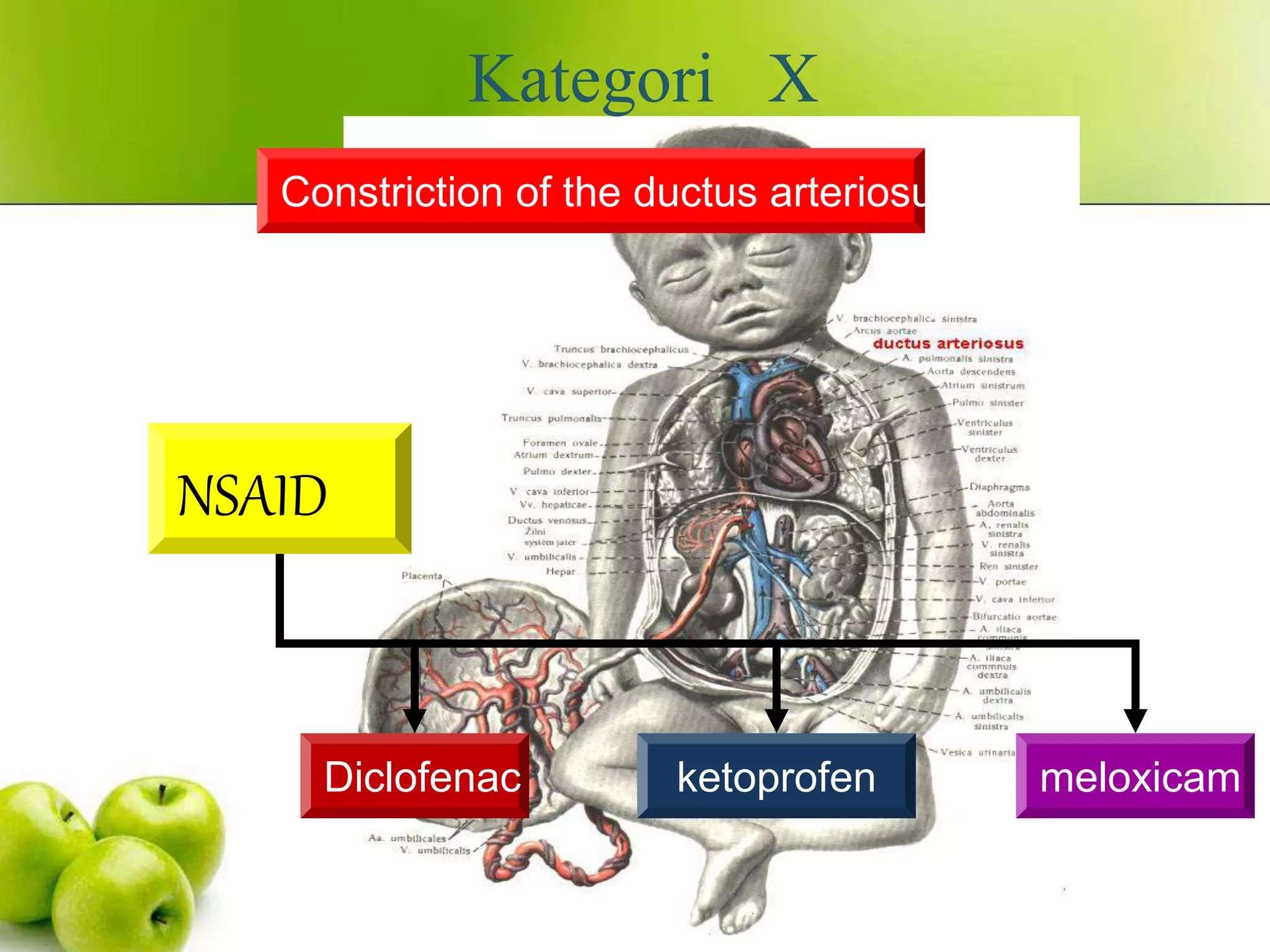 OBAT DALAM KEHAMILAN DAN MENYUSUI.ppt