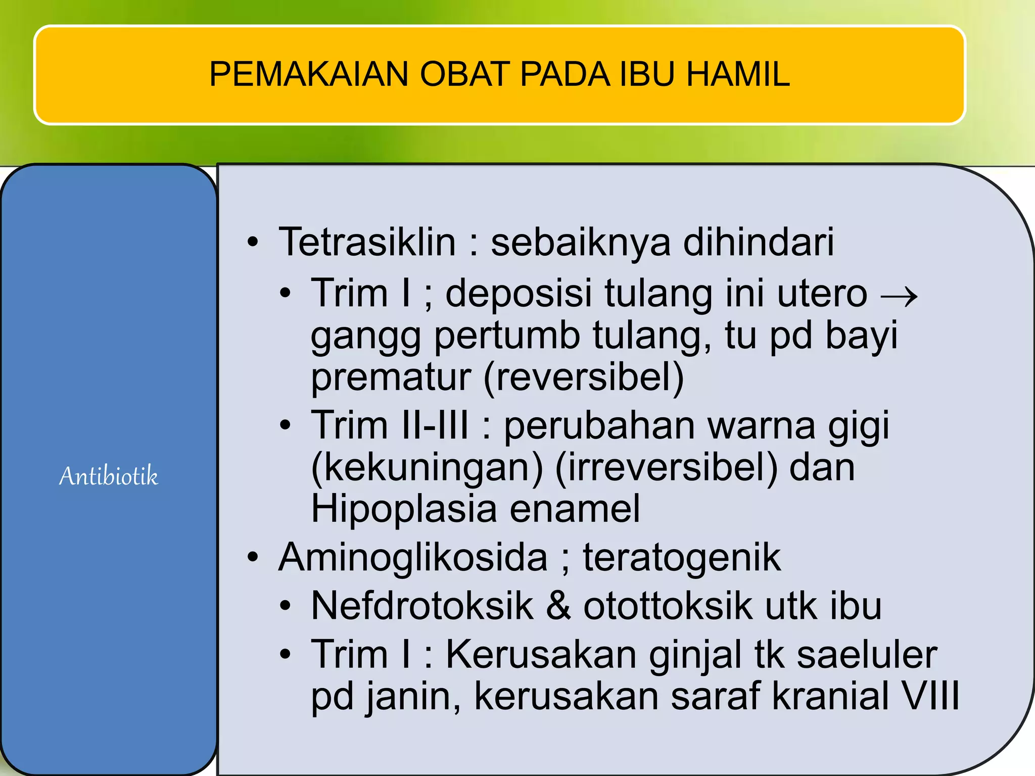 OBAT DALAM KEHAMILAN DAN MENYUSUI.ppt