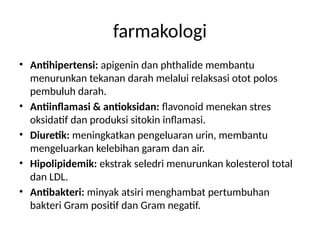Obat dari seledri (Obat dari alam yang penuh manfaat).pptx