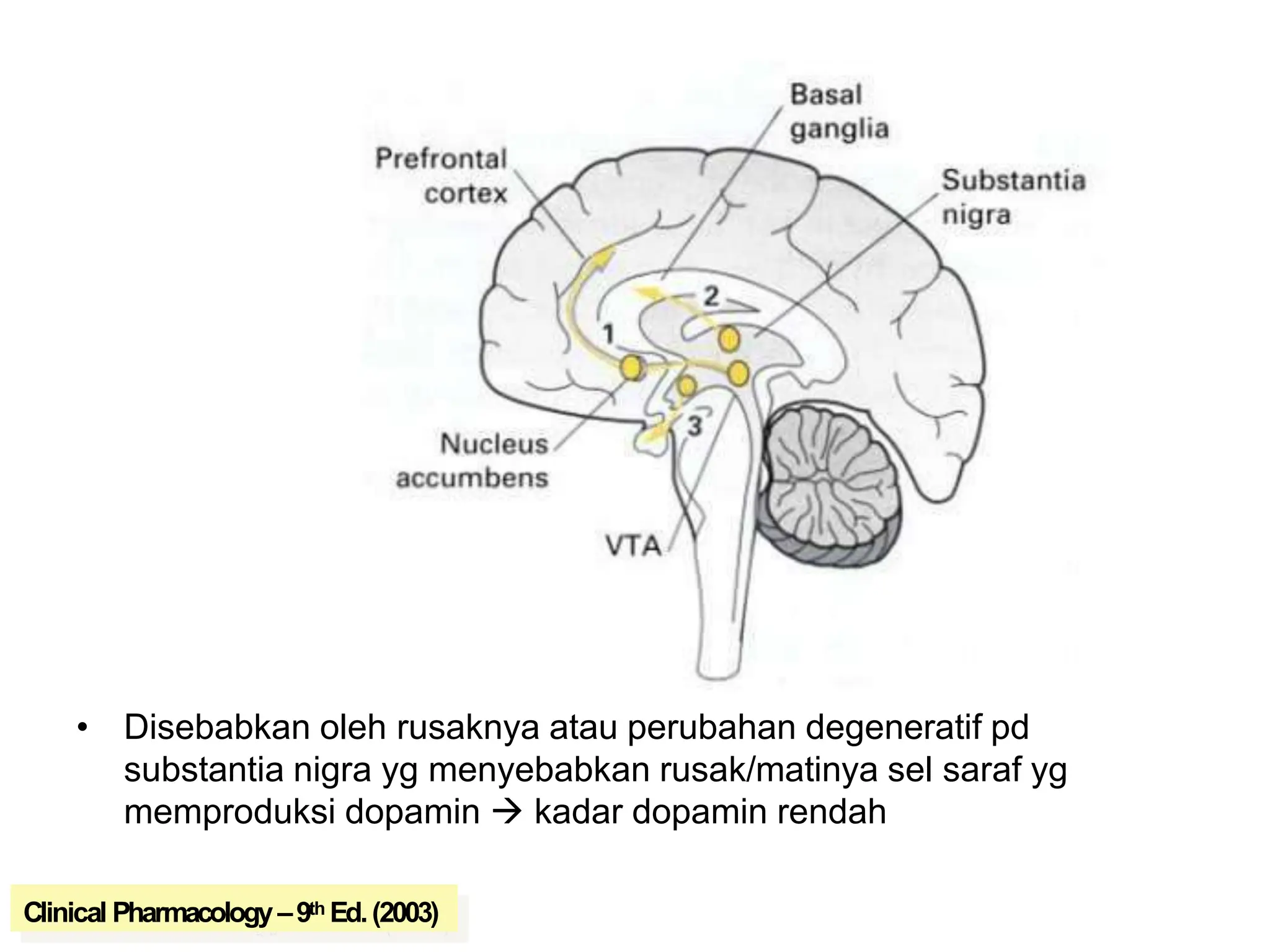 Obat_obat_pada_sistem_saraf_pusat_SSP.pptx