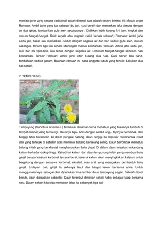 Obat obat tradisional | DOCX