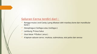 obat pada sistem pencernaan dan sistem endokrin(1).pptx