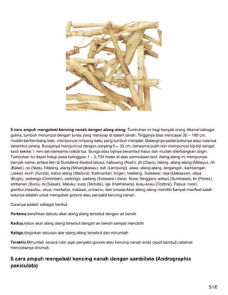 6 cara ampuh mengobati kencing nanah | PDF