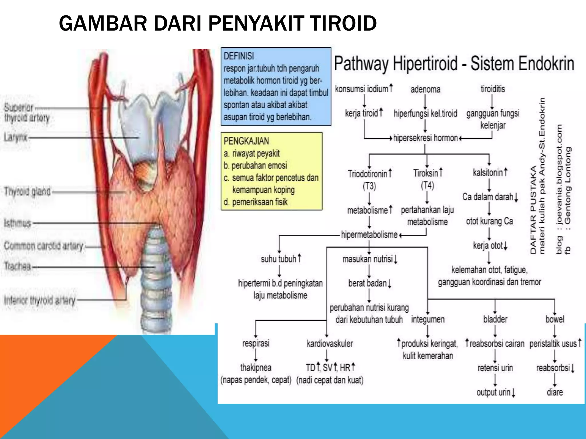 Obat sistem endokrin | PPTX