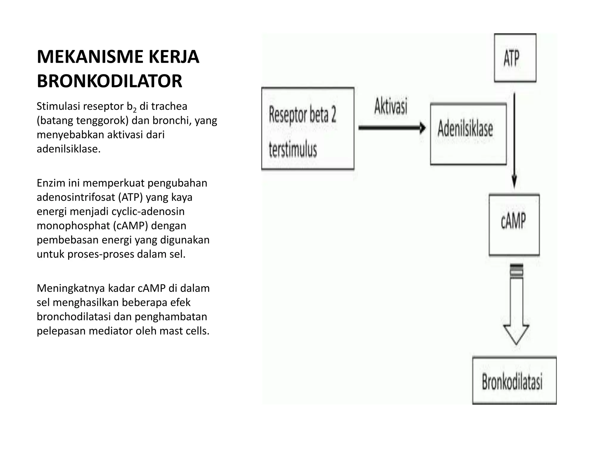 Obat sistem respirasi | PPTX