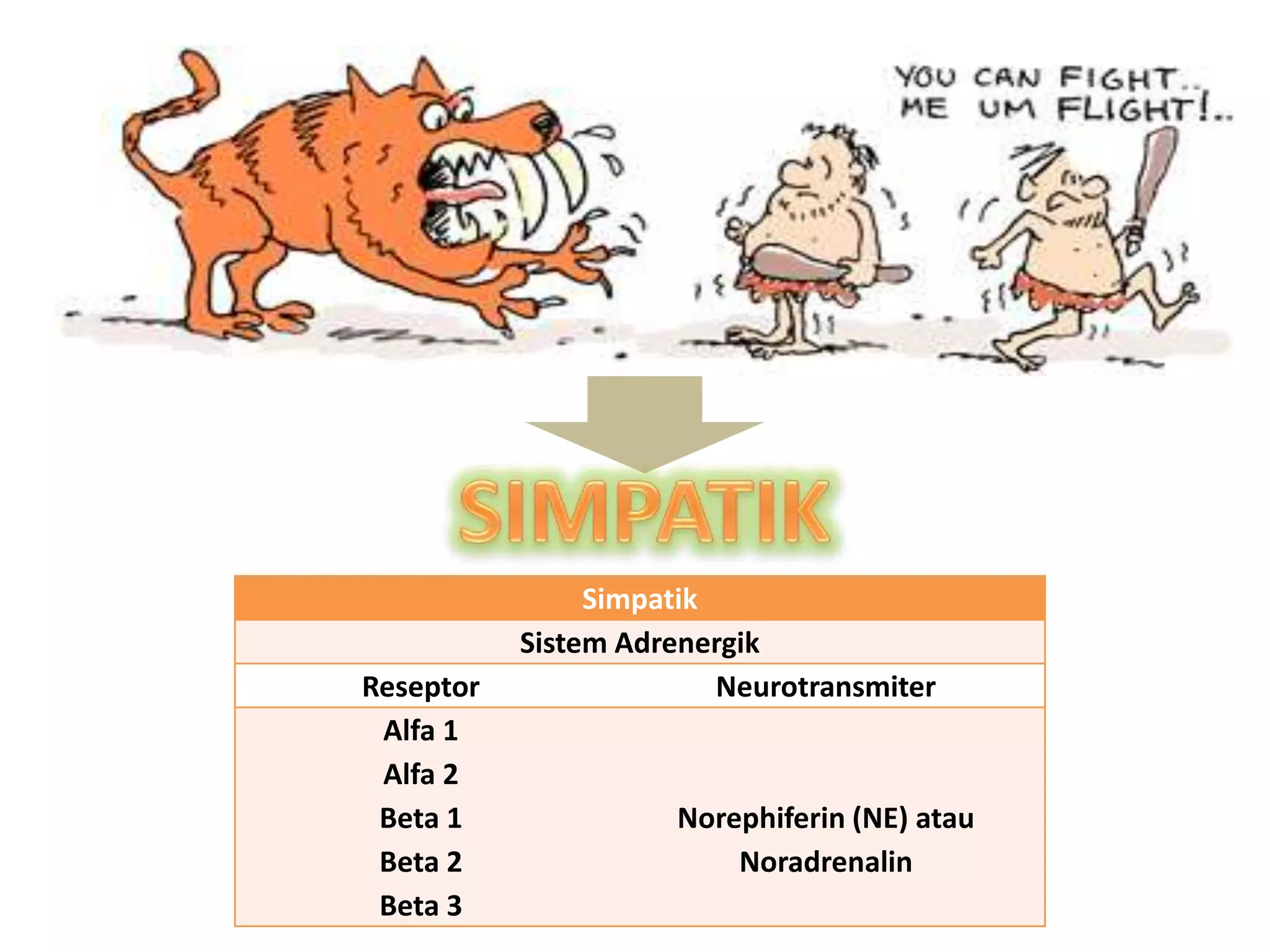 Obat sistem saraf autonom | PPTX