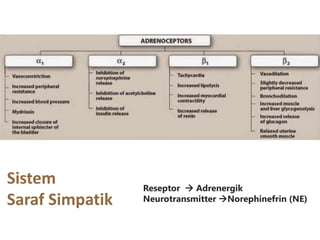 Obat sistem saraf autonom | PPTX