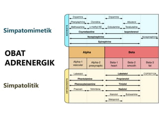 Obat sistem saraf autonom | PPTX