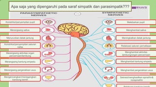 11-XI Farm-2024....Obat SSP dan SSO.pptx
