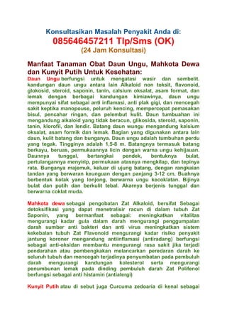 Obat wasir stadium 4 yang sudah parah | PDF