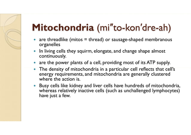 OBC CYTOLOGY.pdf ( properties , components and their functions in the ...