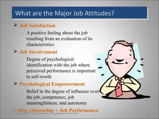 Chapter 3 Attitudes and Job Satisfaction | PPT