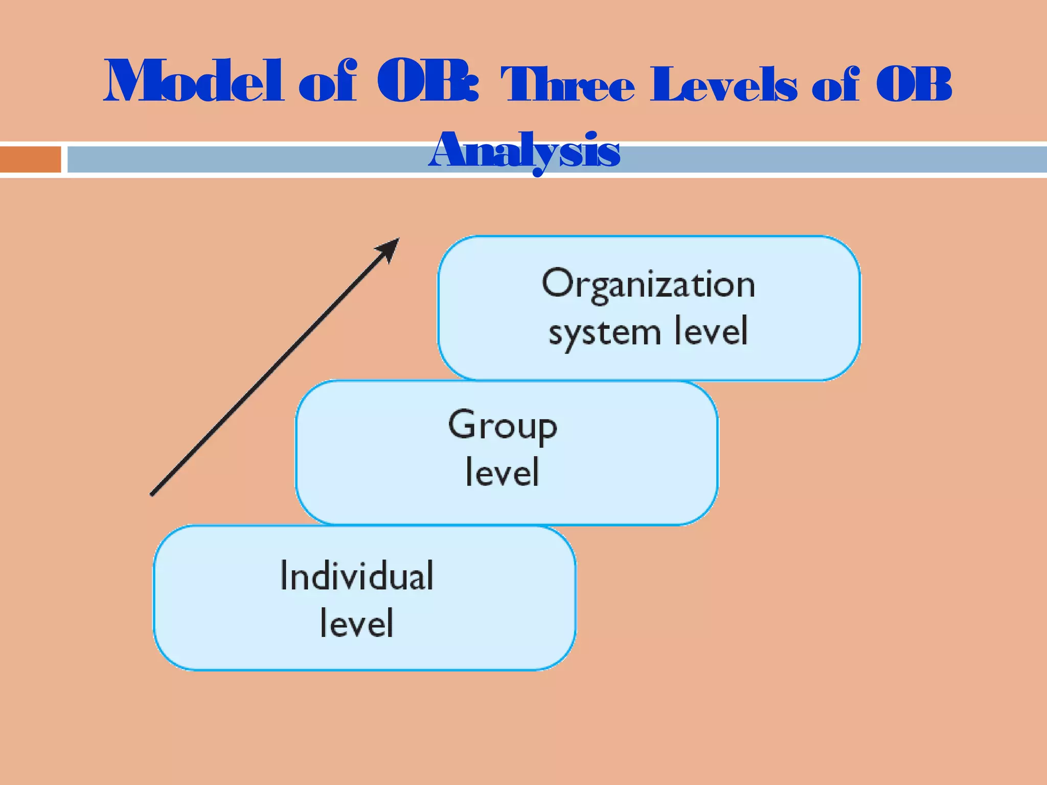 Introduction to Organizational Behavior | PPT