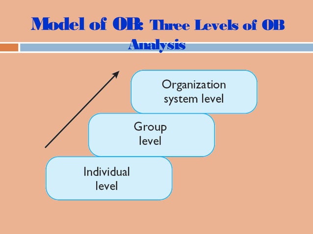 Introduction to Organizational Behavior | PPT | Business | Business and Finance