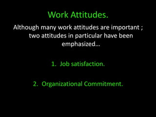 Organizational Behavior Chapter 3 | PPTX