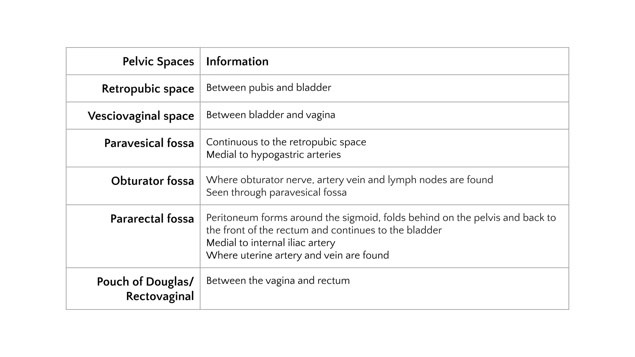 Obstetric and Gynecologic Clinical Anatomy | PDF