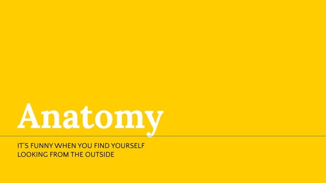Obstetric And Gynecologic Clinical Anatomy Ppt