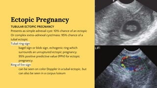 Obstetric and Gynecologic Clinical Anatomy | PDF