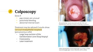 Obstetric and Gynecologic Clinical Anatomy | PDF