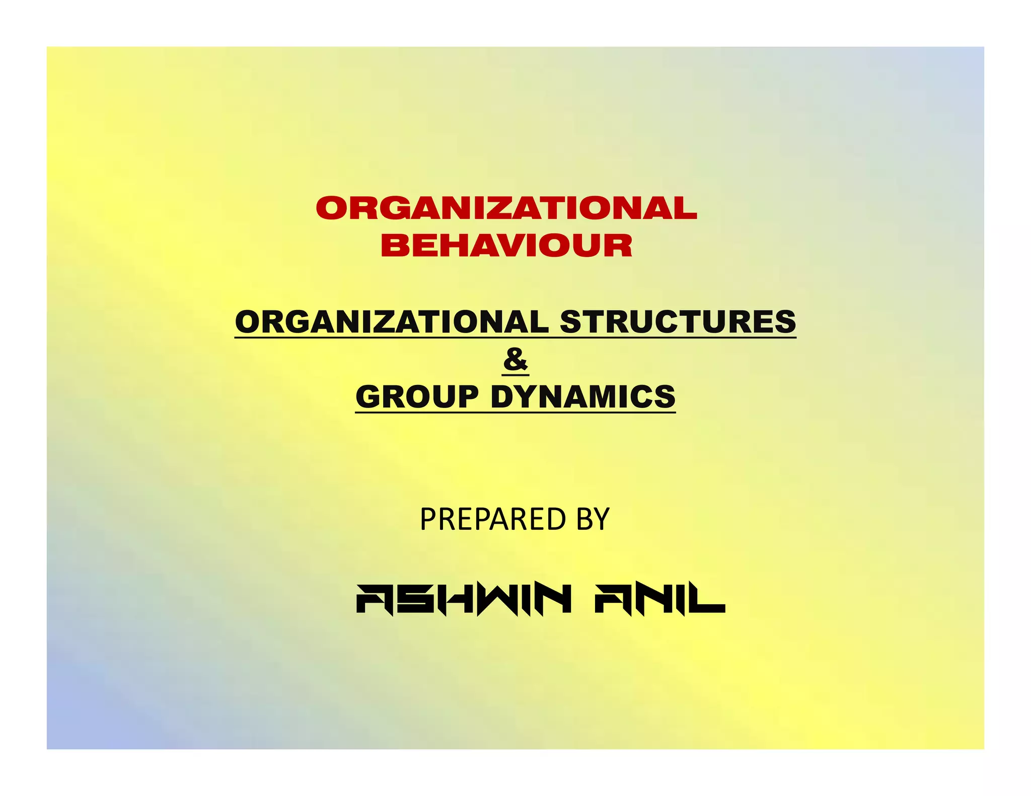 OB STRUCTURE & GROUP DYNAMICS | PDF