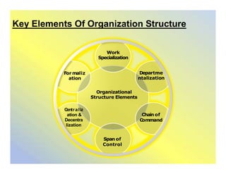 OB STRUCTURE & GROUP DYNAMICS | PDF